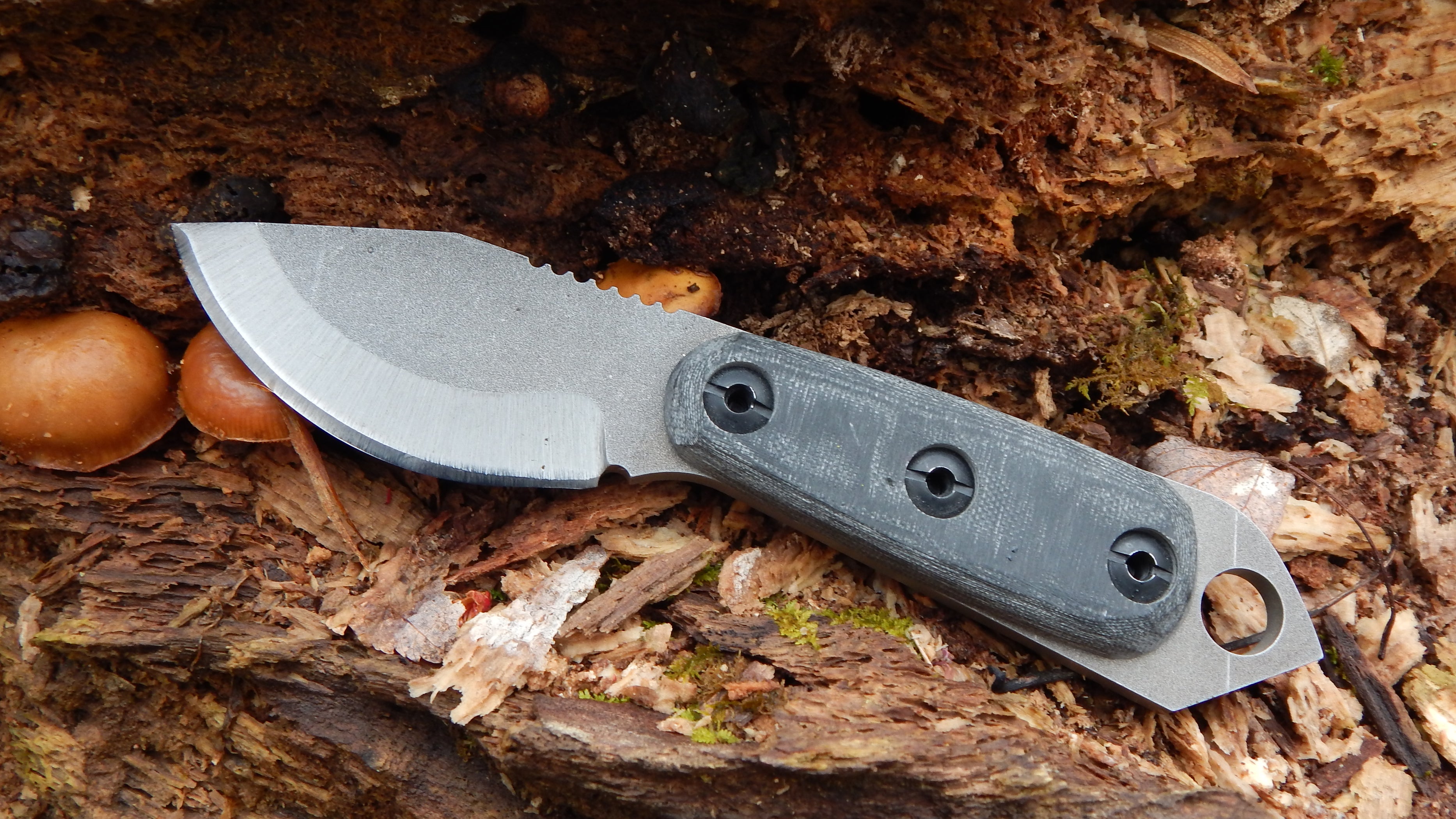2023 Shed Knives Skur